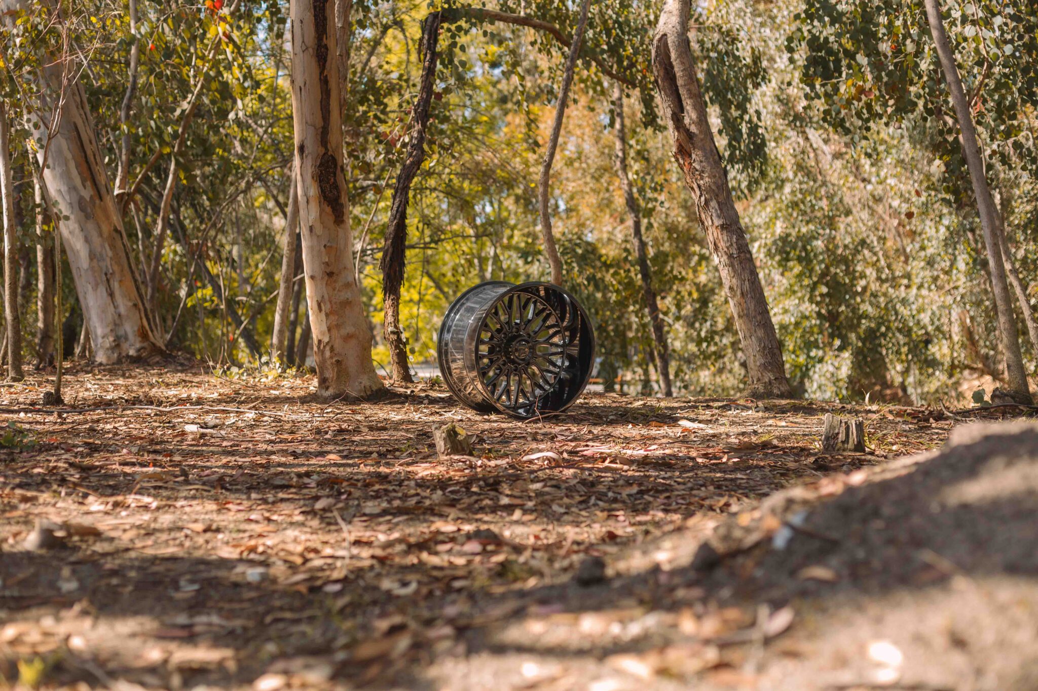 FA25 rims - Alpha Series | Fittipaldi Off Road Wheels